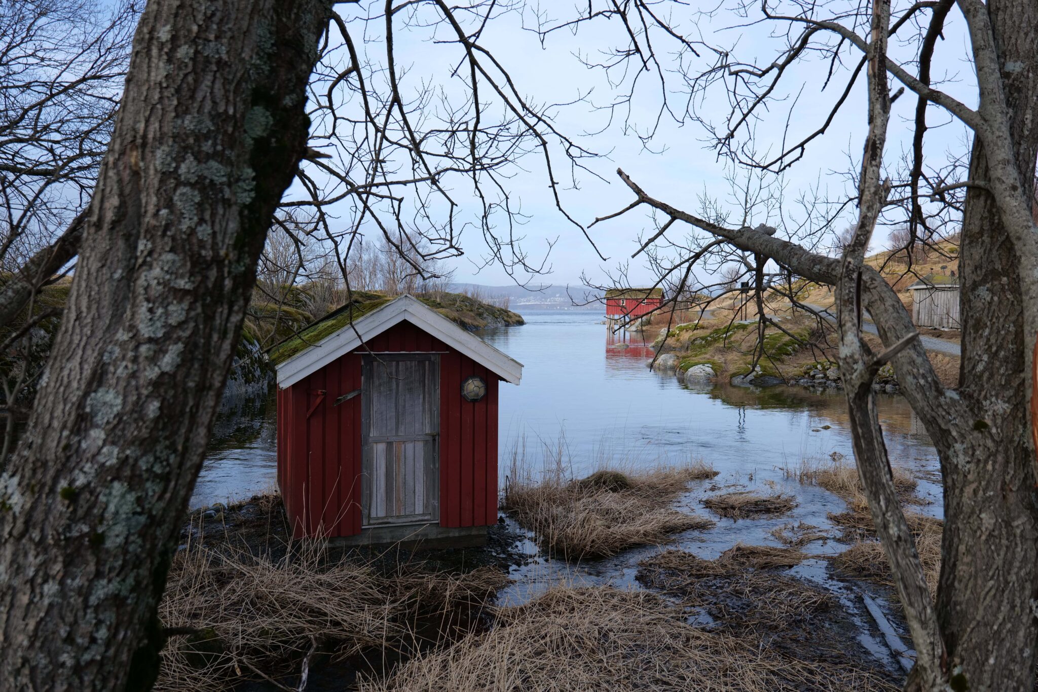 Is Saltstraumen Worth Visiting from Bodø? (+ What to Expect)
