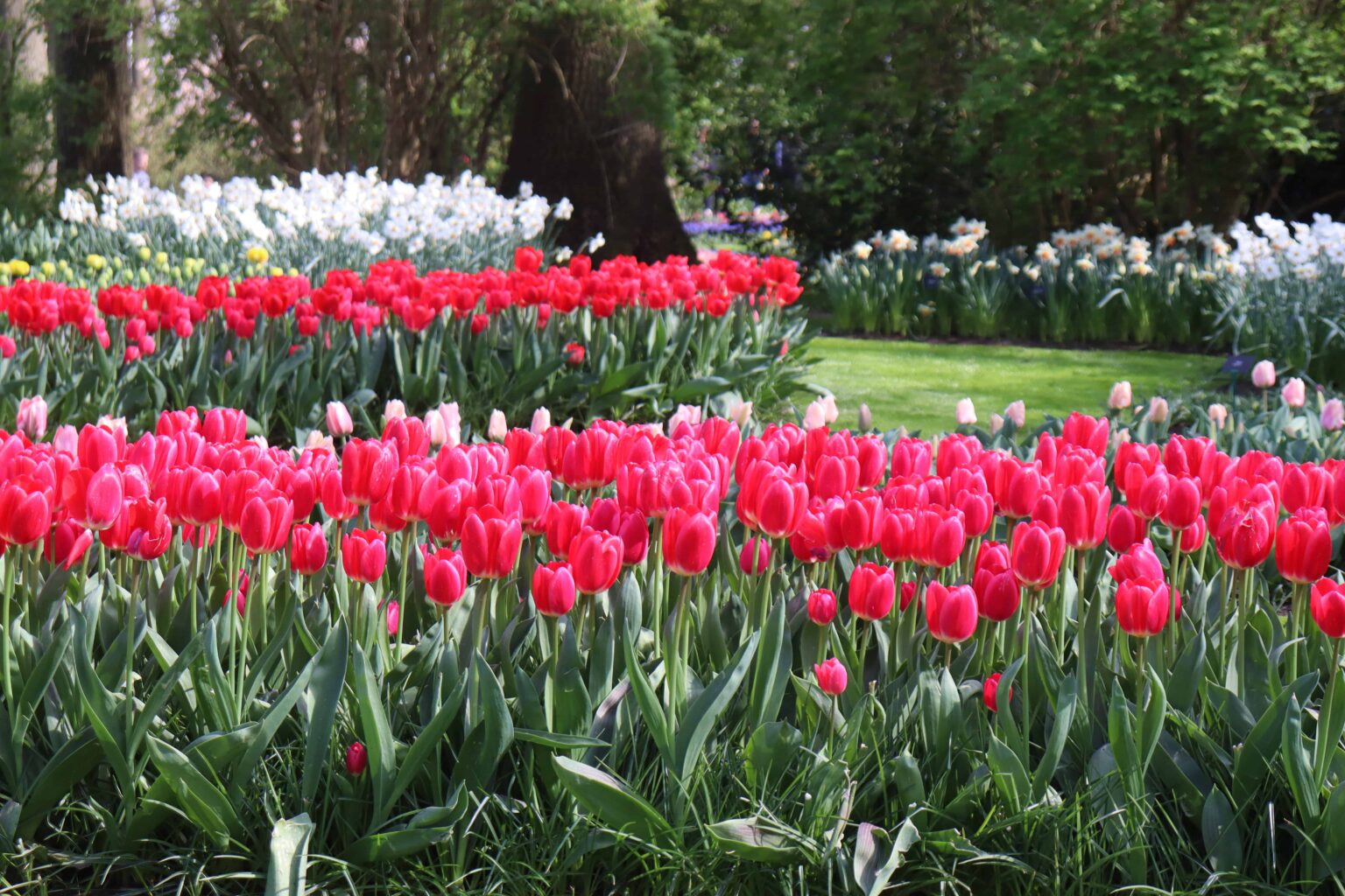 15 BEST Places to Visit in Europe in Spring (2026)